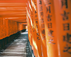 Progressive Image Loading Example