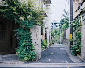 Progressive Image Loading Example