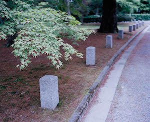 Progressive Image Loading Example